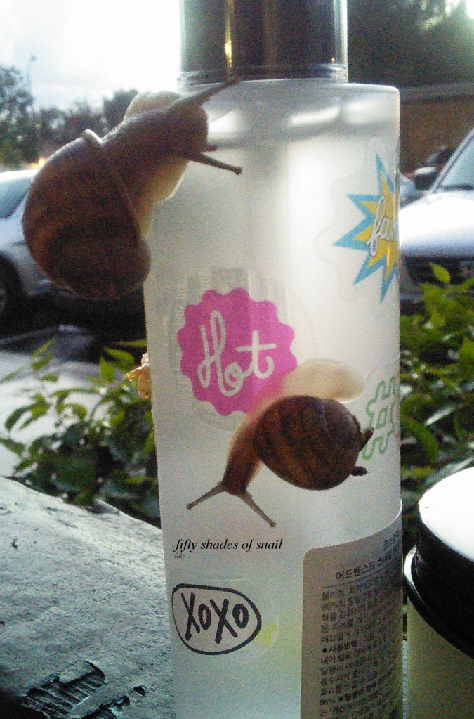 Beauty Monogamy: My Long-Term (Skincare) Relationships – Fifty Shades ...